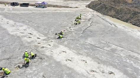 Hundreds Of Dinosaur Footprints Discovered In Oxfordshire Uk News