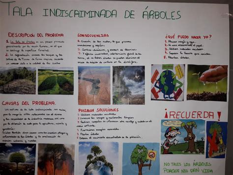 Aula Interactiva La Tala Indiscriminada De árboles Por Patricia