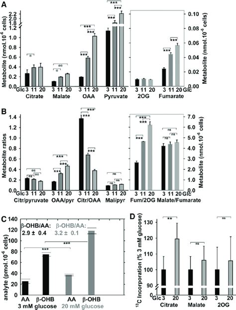 Targeted Metabolomics Of The Krebs Cycle Intermediates Acetoacetate