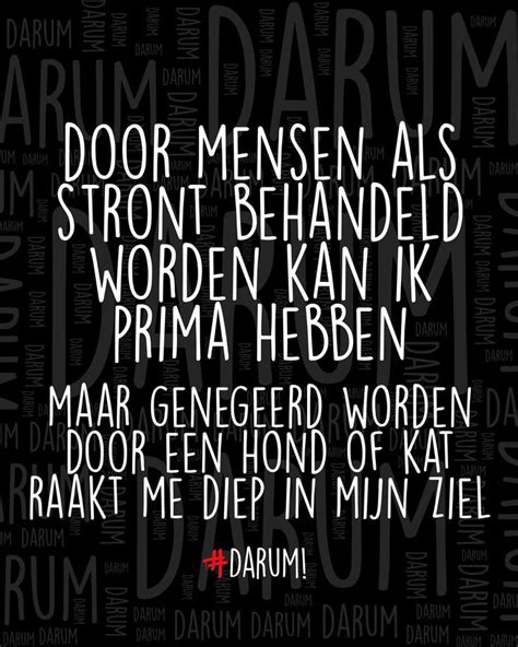 Pin On Darum Quotes