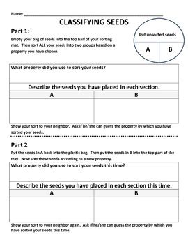 Science Classifying Sorting Seeds Beans Observing Properties Activity