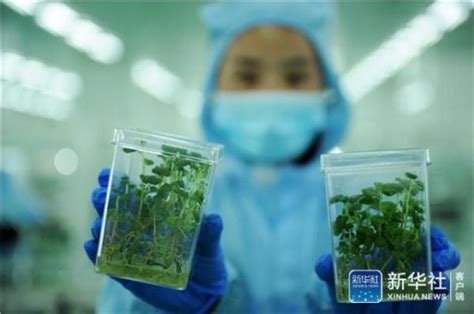 貴州威寧產業結構調整助力鄉村振興 每日頭條