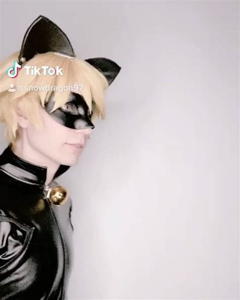 Pov Du Bist Ladybug Miraculousladybugcosplay Chatnoir