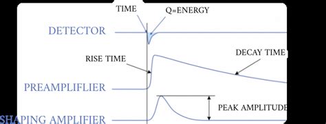 Electric Signals Along The Electronic System The Detector Output