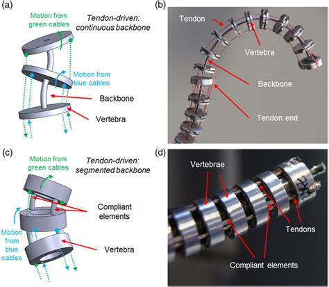 Continuum Robots With Intrinsic Actuation A Conceptual Diagram Of