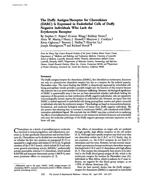 Pdf The Duffy Antigen Receptor For Chemokines Darc Is Expressed In