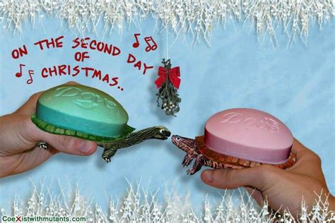2 Turtle Doves Lol 12 Days Of Xmas Christmas Memes Twelve Days