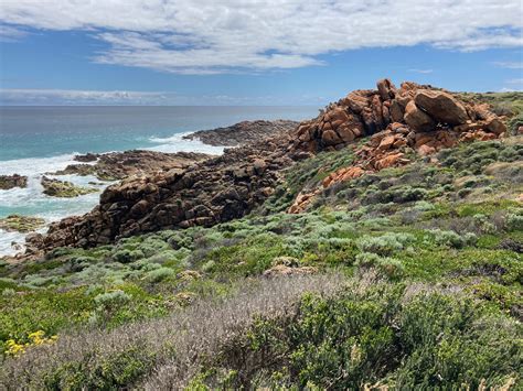 Cape To Cape Track Faqs Cape To Cape Explorer Tours