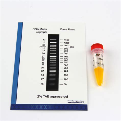 Superstain Dna Marker