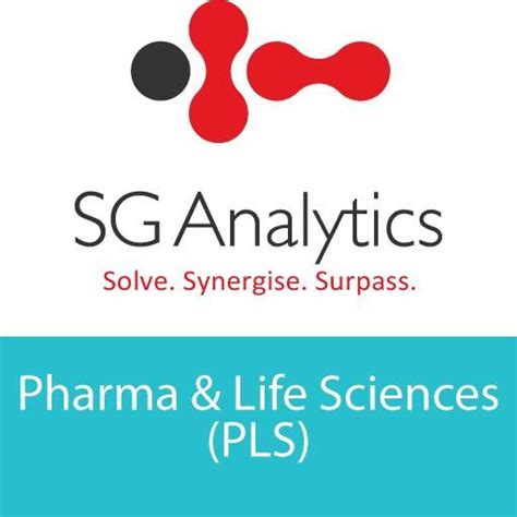 Sg Analytics The Org