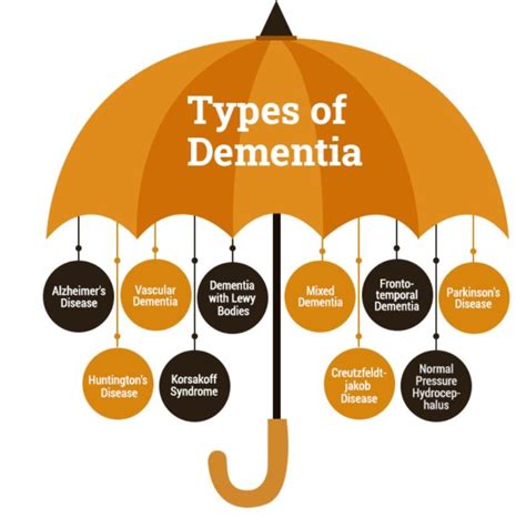 Dementia Symptoms Causes Prevention And Treatment मीडिया जगत की हर