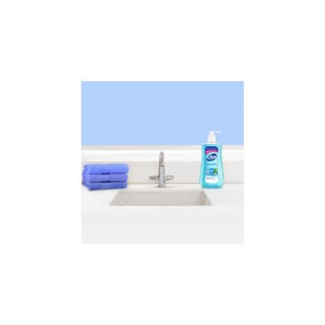 Dial Antibacterial Liquid Hand Soap Spring Water 11 Fl Oz Pack Of 48