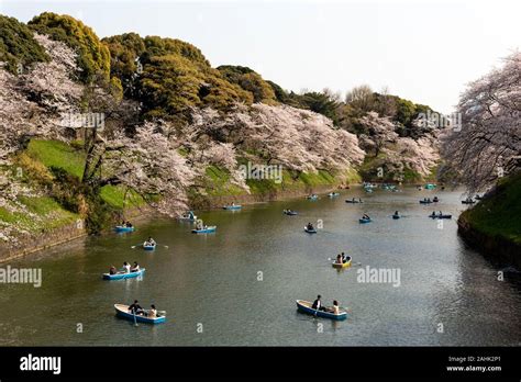 April 6 2019 Cherry Blossoms Know As Sakura And Boats Around