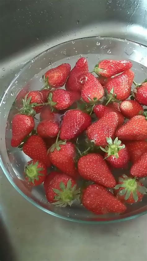 Music Shortvideo Shortsvideo Love Strawberry Youtube