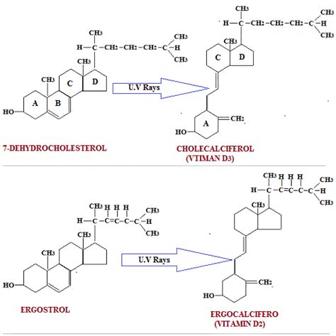 Vitamin D Structure Vitamin D Biosynthesis Benefits Recommended Daily