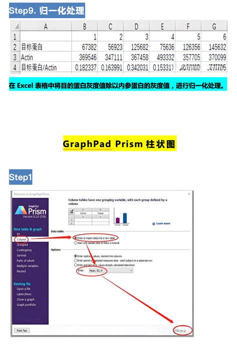 实验技巧｜wb定量方法—灰度值计算及分析！蛋白目标软件
