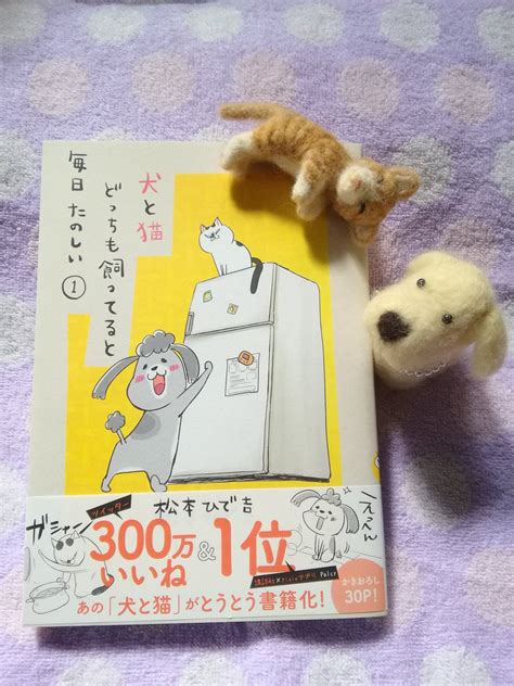 松本ひで吉 on Twitter 犬と猫どっちも飼ってると成長ぶりがしみじみ毎日たのしい