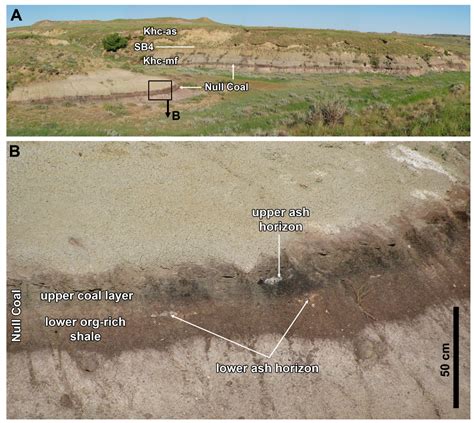 The Hell Creek Formation Montana A Stratigraphic Review And Revision