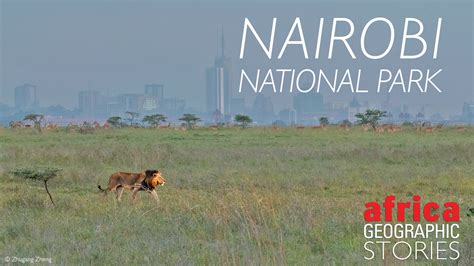 Nairobi National Park Africa Geographic