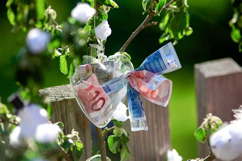 Wedding Shower Money Tree Money Tree The Money Tree From My Friends