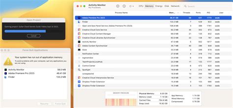 your system has run out of application memory adobe community