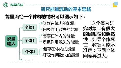 生物人教版（2019）选择性必修2 3 2生态系统的能量流动（共51张ppt） 21世纪教育网 二一教育
