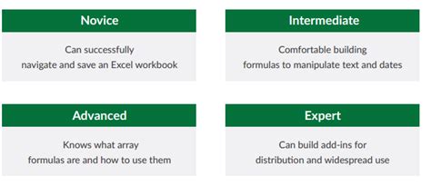 Ms Mocrosoft Excel Ascent Institute Limited