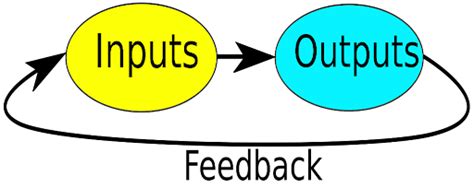 Feedback Loops Lesson