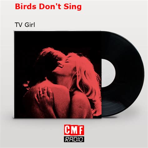 La Historia Y El Significado De La Canción Birds Dont Sing Tv Girl