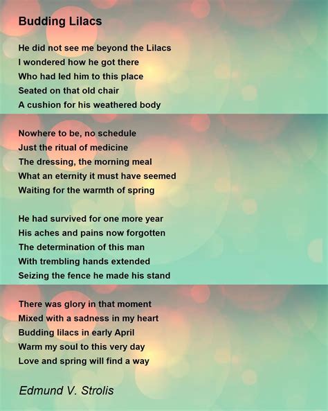 Budding Lilacs Budding Lilacs Poem By Edmund V Strolis