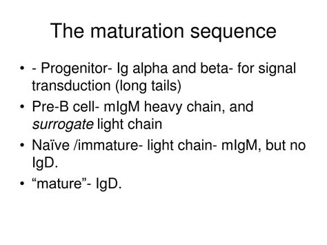Ppt Chapter 11 B Cell Generation Activation Differentiation