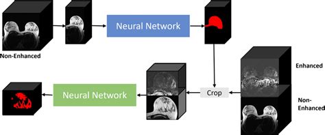 Illustration Of The Segmentation Framework The Framework Was Trained Download Scientific