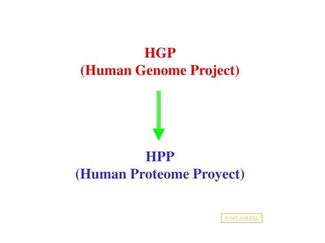 PPT HGP Human Genome Project HPP Human Proteome Proyect