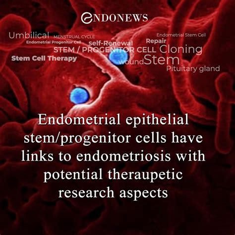 Endometrial Epithelial Stemprogenitor Cells Have Links To