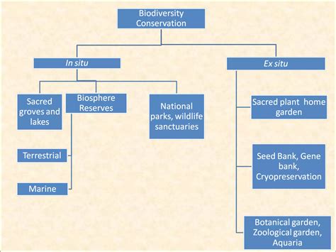 Ppt Of Biodiversity Ppt