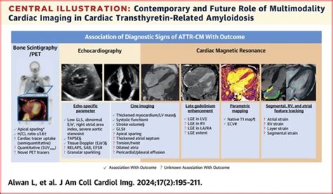 Jacc Cardiovascular Imaging