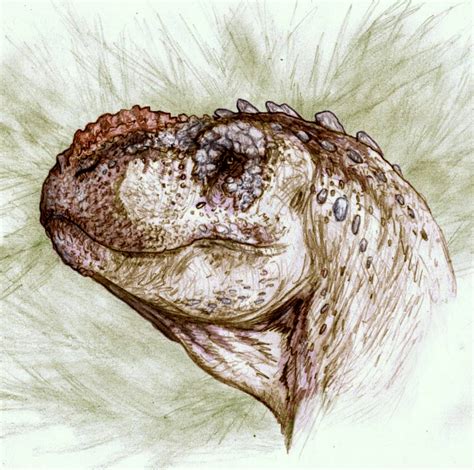Species New To Science [paleontology 2020] Tralkasaurus Cuyi A New