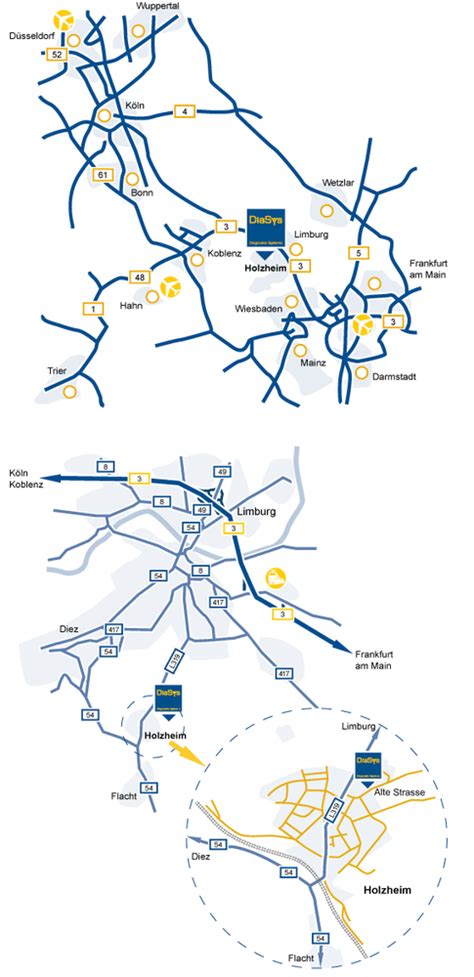 Directions Diasys Diagnostic Systems Gmbh