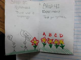 Lattes Laughter Science Notebook Love