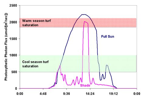 Photon Flux Sunny PACE Turf Photo Gallery