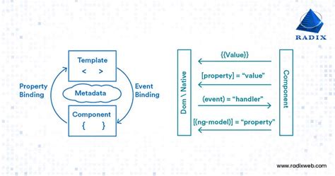 Why Choose Nativescript For Angularjs Mobile App Development