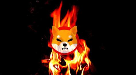 Shiba Inu When Will Shibarium Start Burning Shib Tokens