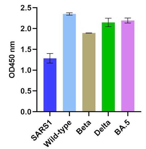 Sars Cov 2 Spike Trimer Protein Recombinant Monoclonal Antibody P1a7