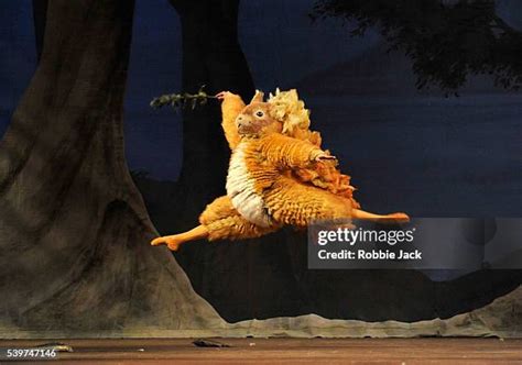 Squirrel Nutkin Photos And Premium High Res Pictures Getty Images