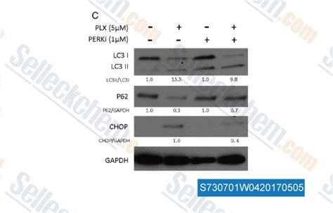 Perk Inhibition Perk Inhibitor Review