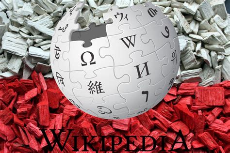Jak Wikipedia Cenzuruje Polską Historię Pewne Tematy Są Pod Szczególną