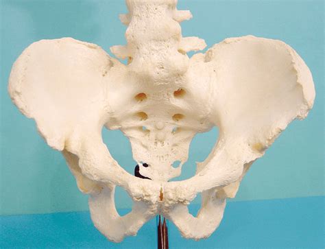Imaging Ankylosing Spondylitis Clinical Guidance