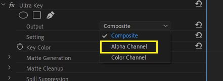 How To Remove Background In Adobe Premiere Pro