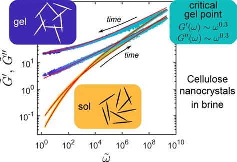 Critical Like Gelation Dynamics In Cellulose Nanocrystal Suspensions Acs Macro Letters
