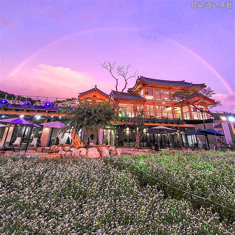 부산여행 경주 필수코스라는 힐링뷰 초대형 갬성한옥카페🌿 선 넘어버린 분위기로 뷰맛집 종결찍음🤭 Facebook